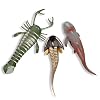 Toymany 10PCS Ancient Marine Creatures, Cambrian Sea Animal Figurines ...