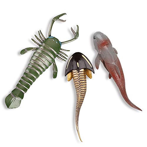 Toymany 10PCS Ancient Marine Creatures, Cambrian Sea Animal Figurines ...