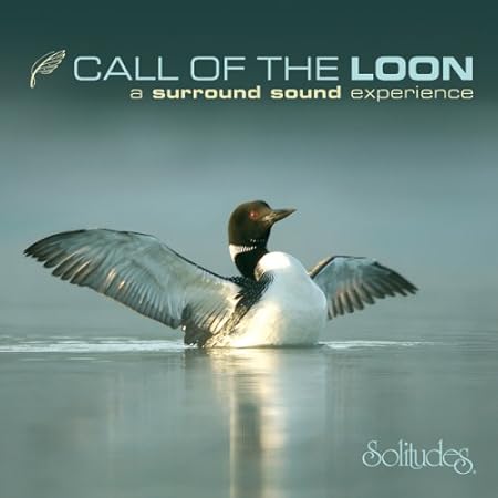 Call of the Loon - Dan Gibson: Amazon.de: Musik