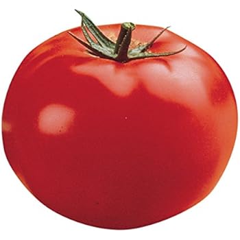 Amazon.com : Big Beef Hybrid Tomato 45 Seeds -Colossal Fruit Size ...