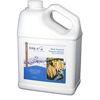 Amazon.com: BioZyme Natural Enzyme Cleaner - 1 Quart: Health & Personal ...