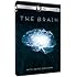 Amazon.com: Incognito: The Secret Lives of the Brain (9780307389923 ...
