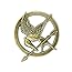 Amazon.com: The Hunger Games Brooch Gold Mockingjay Pin Scholastic ...