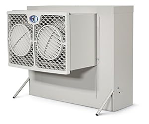 Amazon.com: Brisa 2800 CFM 2-Speed Front Discharge Window Evaporative ...