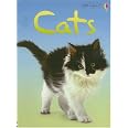 Amazon.com: Cats (Usborne Beginners, Level 1): 9780794513948: Donaera ...