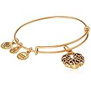 Amazon.com: Alex and Ani Path of Life IV Rafaelian Gold Bangle Bracelet: Jewelry