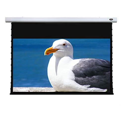 VIVIDSTORM Office Presentation Mortar Mount Tension Screen,Electric ...