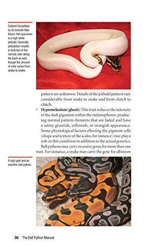 The Ball Python Manual (CompanionHouse Books) Selection, Heating ...