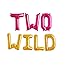 Amazon.com: Born Two Be Wild Glitter Banner, Two Years Old Banner, 2nd ...