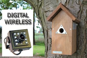 BIRD BOX CAMERA SYSTEM - Digital Wireless: Amazon.co.uk: Camera & Photo
