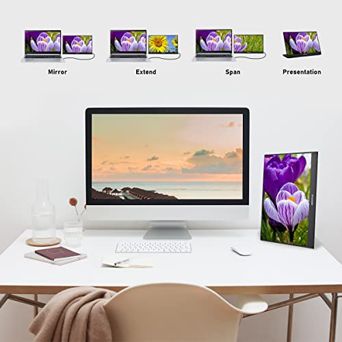 Portable Monitor-GEEKPLUS 15.6inch 1080P USB-C Laptop Monitor HDMI ...