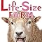 Life-Size Farm: Komiya, Teruyuki: 9781934734582: Amazon.com: Books