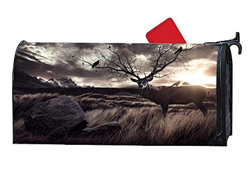 47 Insanely Unusual and Cool Mailboxes For Your Home - Homesthetics ...