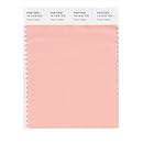 PANTONE Smart 14-1418X Color Swatch Card, Peach Melba - House Paint ...