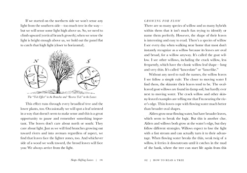 How To Read A Tree: Clues And Patterns From Bark To Leaves (Natural ...