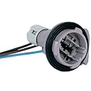 Amazon.com: ACDelco LS108 GM Original Equipment Multi-Purpose Lamp ...