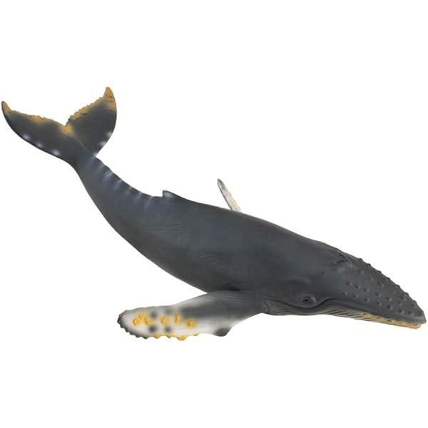 Papo Humpback Whale, 42% OFF | ids-deutschland.de