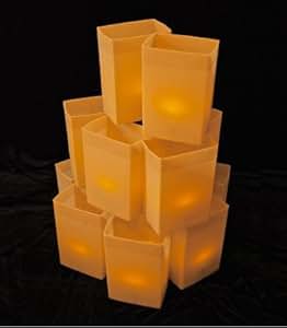 Amazon.com: Electric Luminaria Light Set - Hard Plastic Reusable ...