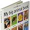 Amazon.com: My Big Animal Book (My Big Board Books): 9780312511074 ...