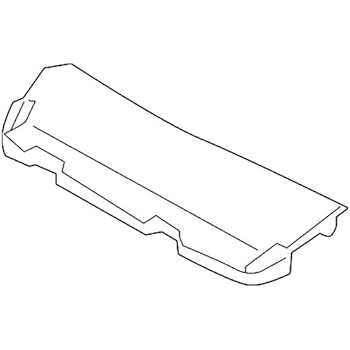 Amazon.com: Genuine GM Parts 25799031 Grille Air Deflector: Automotive