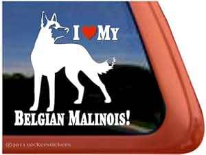 Amazon.com: I Love My Belgian Malinois! ~ Belgian Malinois Vinyl Window ...
