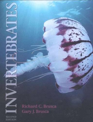 Amazon.com: Invertebrates - Second Edition [Hardcover]: 9780878930975 ...
