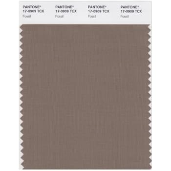 PANTONE SMART 19-1543X Color Swatch Card, Brick Red - House Paint ...