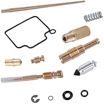 Amazon.com: CQYD New Carburetor Carb Rebuild Kit Repair for Honda ...