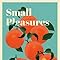 Small Pleasures: A BBC 2 Between the Covers Book Club Pick: Amazon.co ...