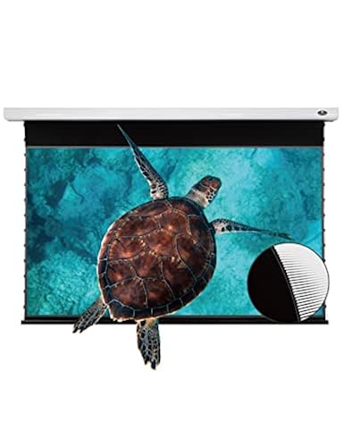 VIVIDSTORM-Projection Screen,PRO Slimline Motorized Office Presentation ...