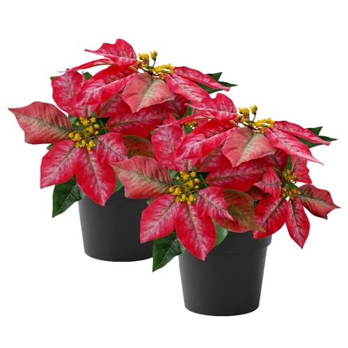MELAJIA Poinsettias Artificial Christmas Flowers Tabletop 2 Pack Small Poinsettia Plant ...