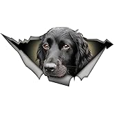 Amazon.com - 3D Dog Window Decals for Cars Funny Dog Decal Car ...