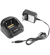 Amazon.com: BaoFeng Original Replacement Battery BL-8 for Baofeng UV-82 ...