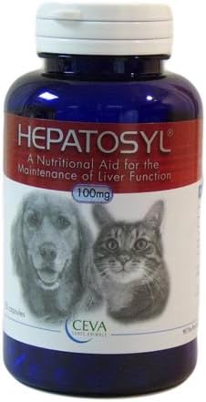 Hepatosyl Liver Function Capsules 90 x 100mg: Amazon.co.uk: Garden ...