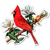 Amazon.com - Family Window Decal White, car Sticker, car Vinyl Sticker ...