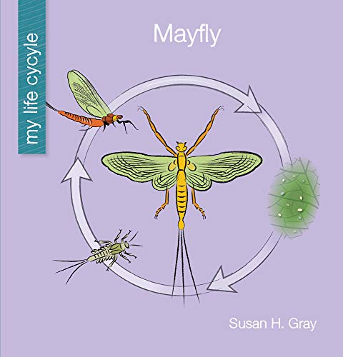 Mayfly (My Early Library: My Life Cycle): Gray, Susan Heinrichs, Bane ...