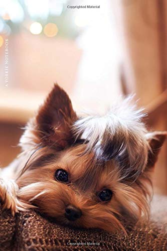 Yorkie Notebook: Premium Yorkie Journal – With 10 Free, Beautiful of ...