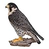 Hi-Line Gift Ltd Peregrine Falcon Statue in Dubai - UAE | Whizz Statues