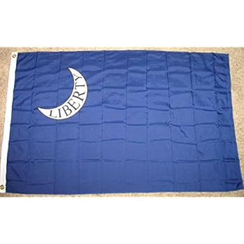 Amazon.com : 3X5 Fort Moultrie Liberty Flag Colonial American Banner ...