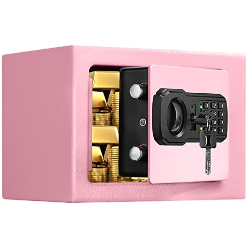 1.0 Cu ft Extra Large Heavy Duty Home Safe Fireproof Waterproof, Anti ...