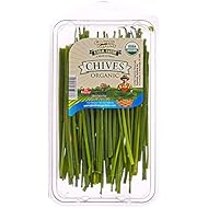 Amazon.com: Fresh Herbs: Grocery & Gourmet Food: Basil, Sage, Mint, Bay ...