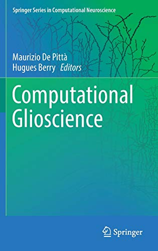 Computational Glioscience Springer Series In Computational Neuroscience De Pittà Maurizio