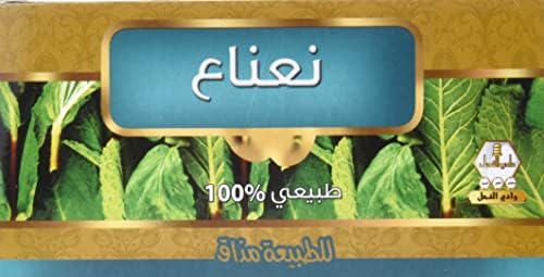 Wadi Al Nahil Mint Tea 30 Teabags price in Saudi Arabia | Amazon Saudi ...