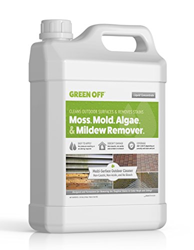 Buyers Guide: Finding the Best Roof Cleaner for Your Home in 2019 - Reviews