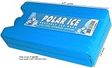 Ice Pack Secret Flask - Hides in Plain Sight - The Green Head