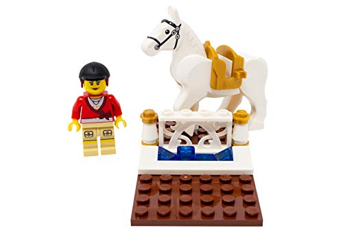 LEGO Horseback Riding Girl with Poseable Horse - Custom Female ...