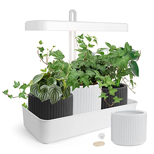GrowLED LED Indoor Garden, Herb Garden, Kitchen Garden, Height ...