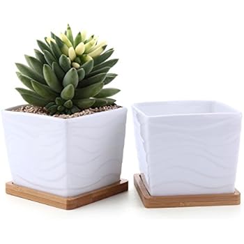 Amazon.com : T4U 3 Inch Ceramic Japanese Style Serial No.3 succulent ...