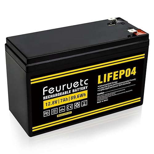 12V 7Ah Lithium LiFePO4 Battery, 2000+ Deep Cycles Rechargeable Battery ...