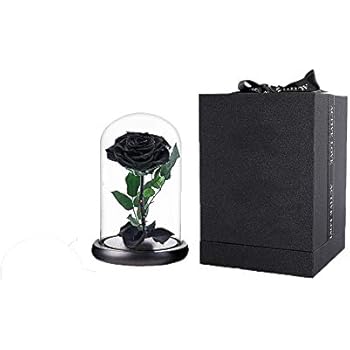 Amazon.com: Preserved Roses Black Roses in Glass Dome, Medium, Real ...